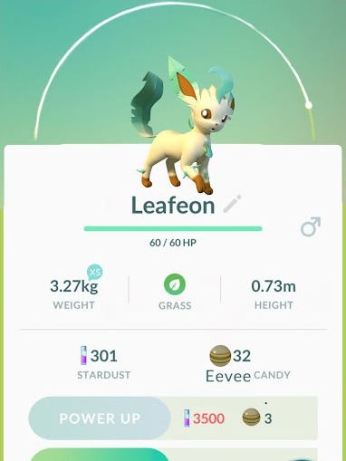 How to Get Leafeon in Pokemon Go? [Evolve Eevee into Leafeon]
